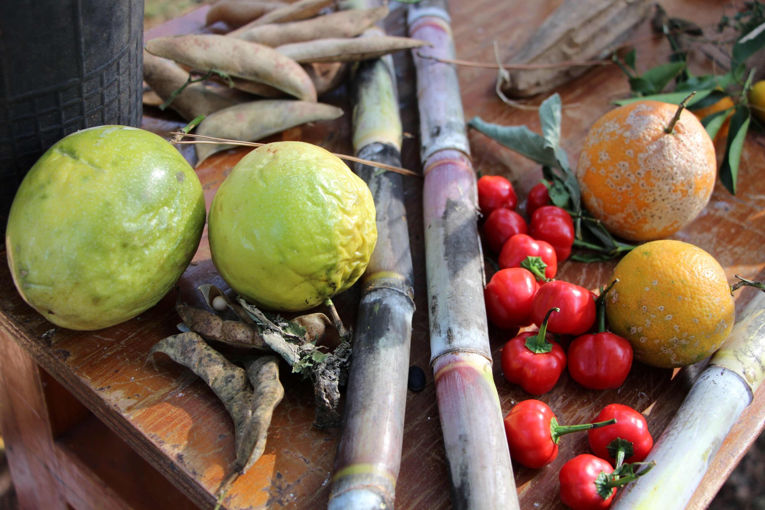 Mes de la Agroecología: desde el martes, talleres, semillas y feria de ...